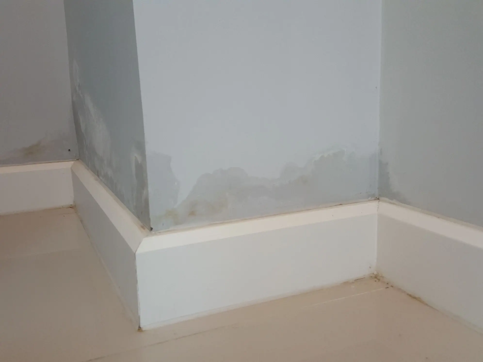 Types of damp